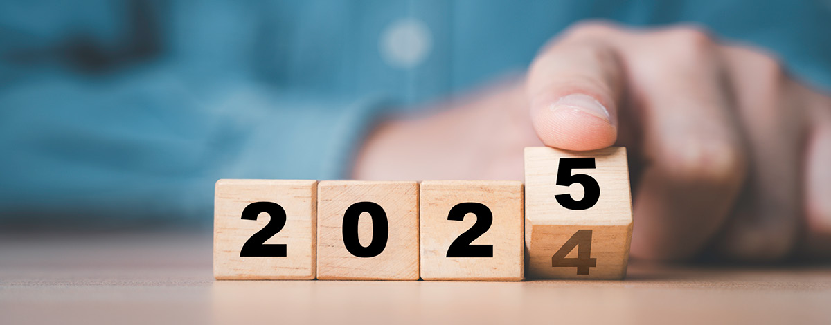 2024 wrap up and 2025 outlook: The year in charts